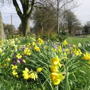 Other Organisations – Shadwell Parish Council